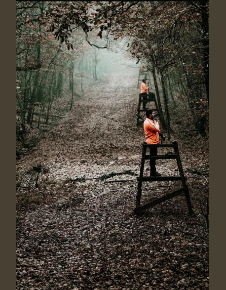 Séjour Chasse Grand Gibier 2023-2024 Domaine clos de +200 hectares ...